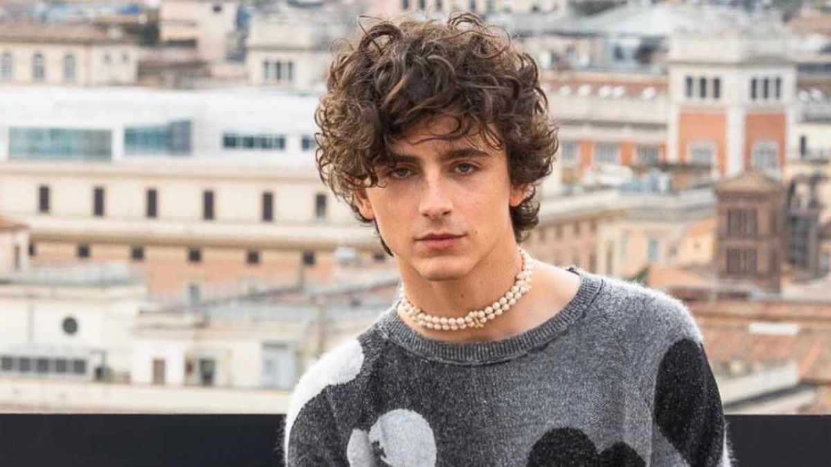 Timothée Chalamet’s Social Media Influence and Fan Following | Business ...